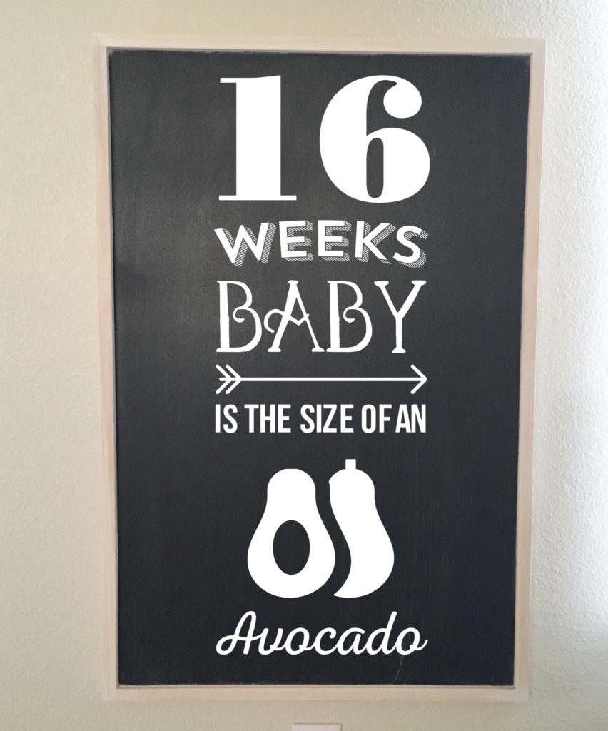 Bumpdate | 16 Weeks – Sage Cottage Collection