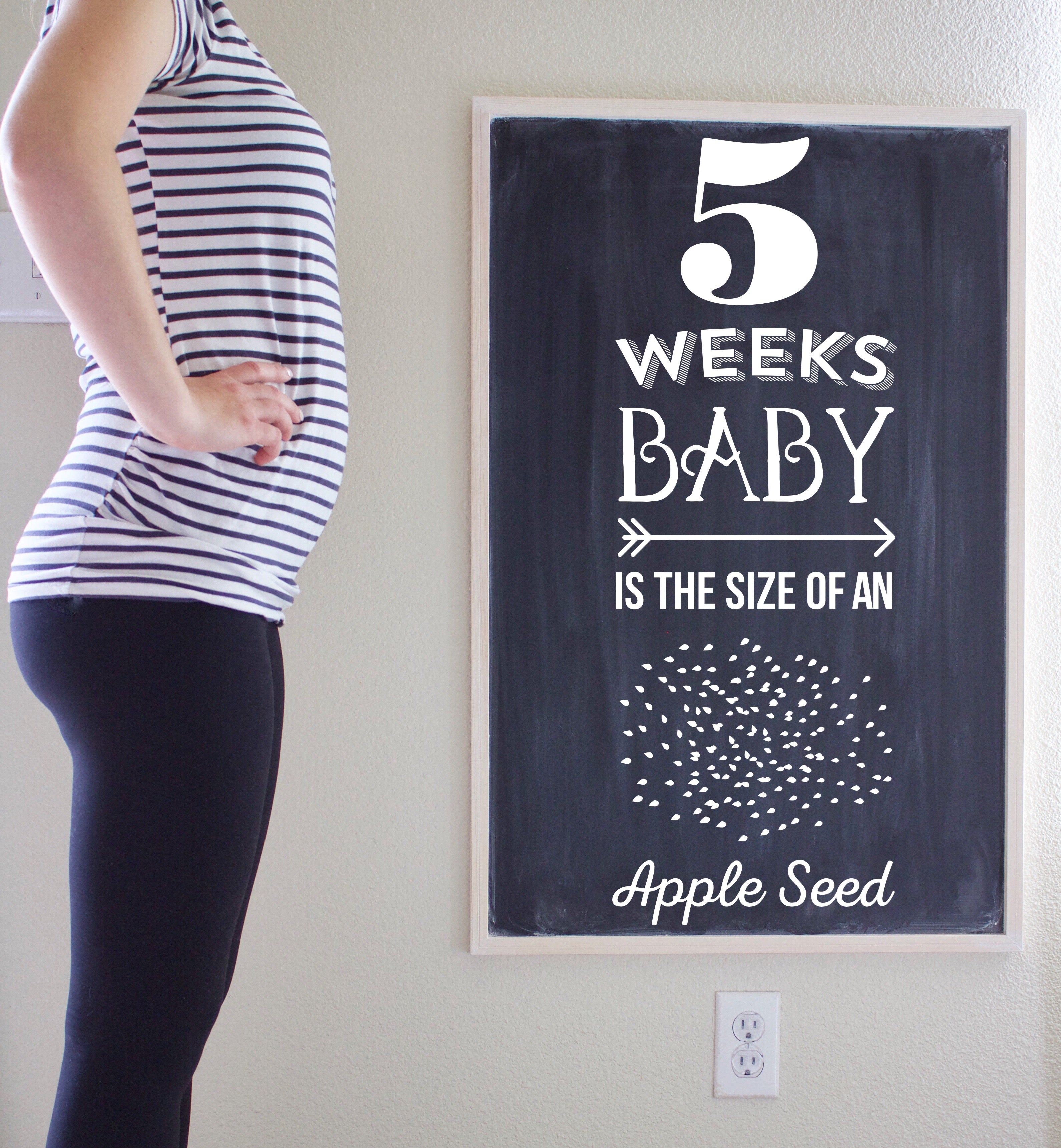 Bumpdate | 5 Weeks – Sage Cottage Collection